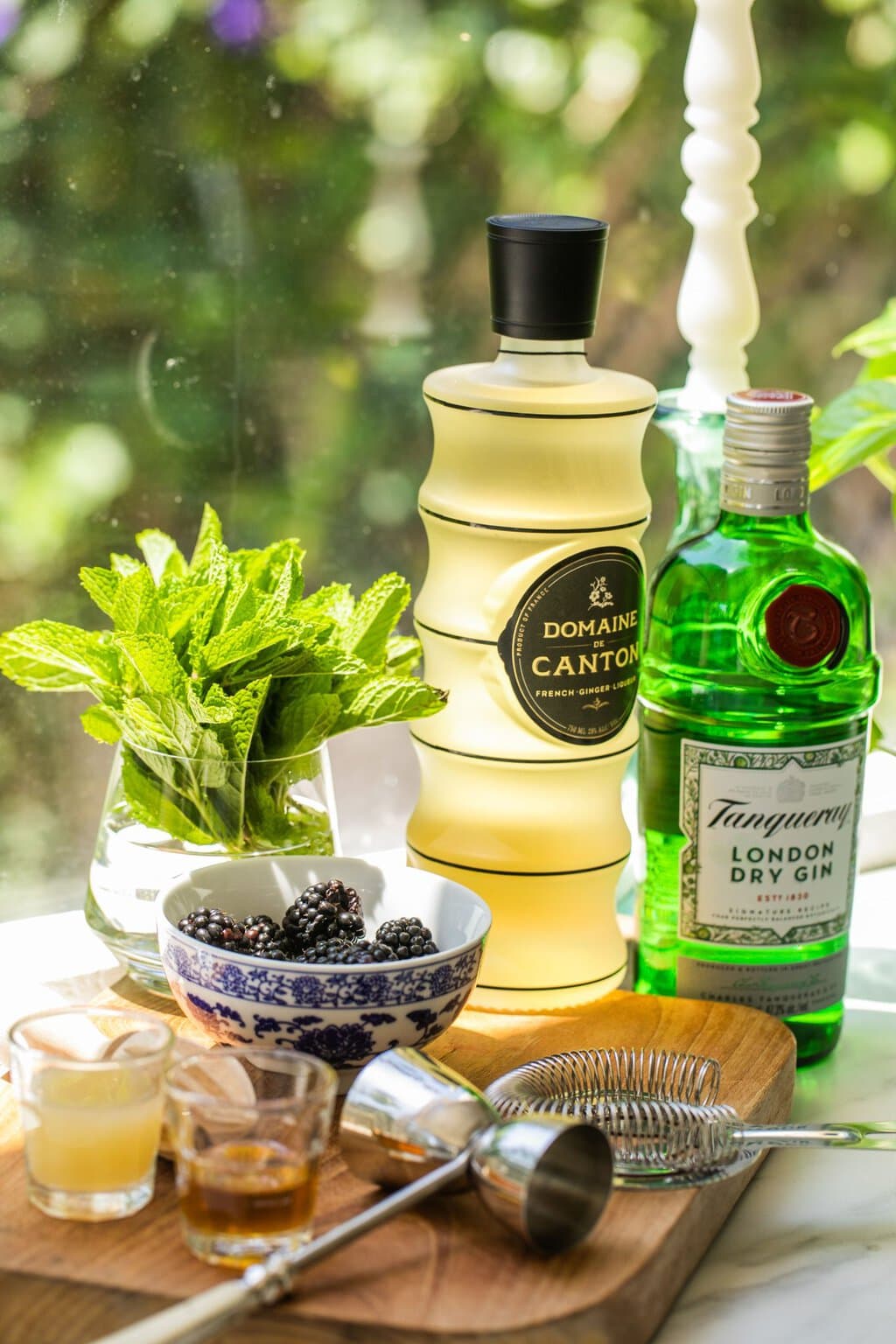 Blackberry Gin Spritz - Everyday Elizabeth